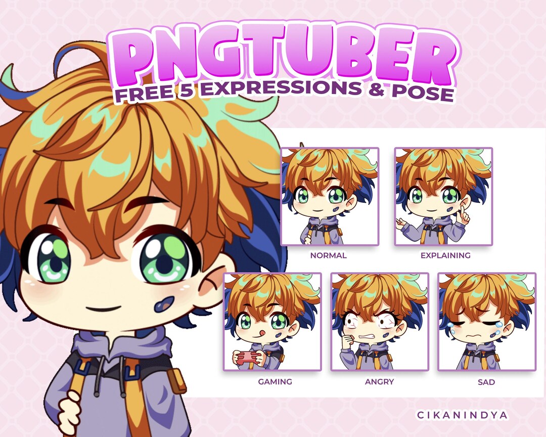 Custom Pngtuber Alternative – Adorable Male Model With Professional Animations - Etsy
