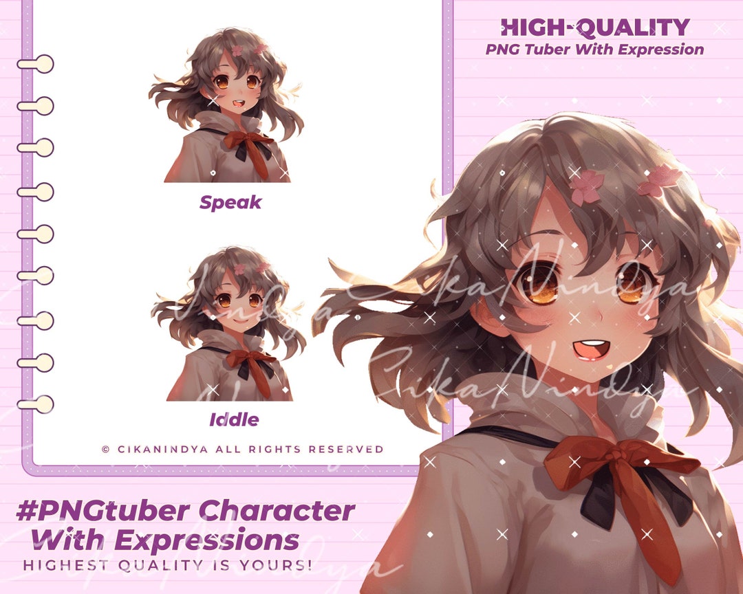 Elevate Your Twitch and Youtube Presence With PNG Tubers for Streaming ...