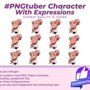 Pngtuber | Dynamic PNG Tuber Characters | 12 Pose Expressions ...