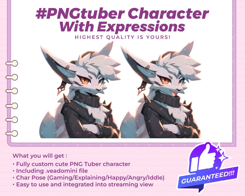 Furry Pngtuber Avatar: 2 Pose Streamer Avatar - Etsy