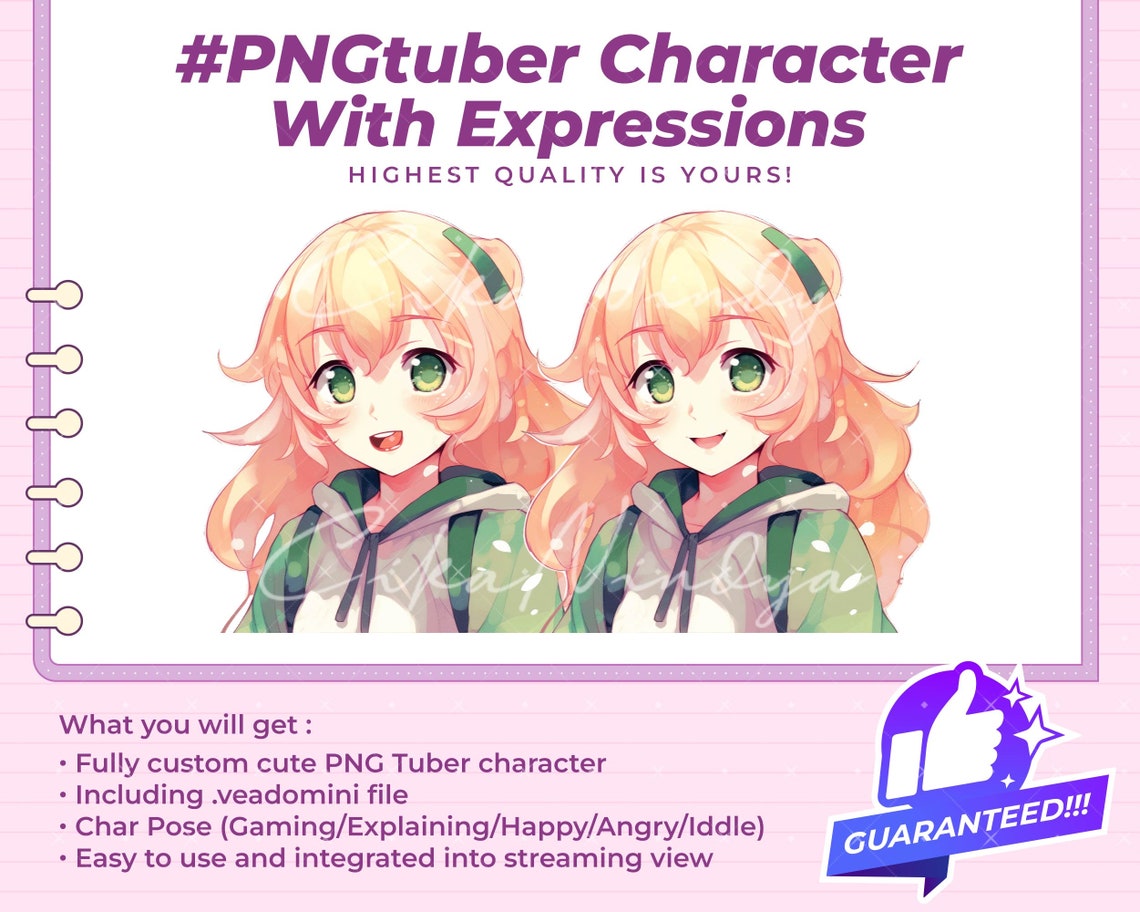 Pngtuber Pngtuber Twitch Pngtuber Model Pngtuber Premade - Etsy Canada