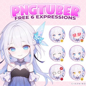 Elegant Premade Pngtuber – Animated Female Avatar for Vtubers - Etsy