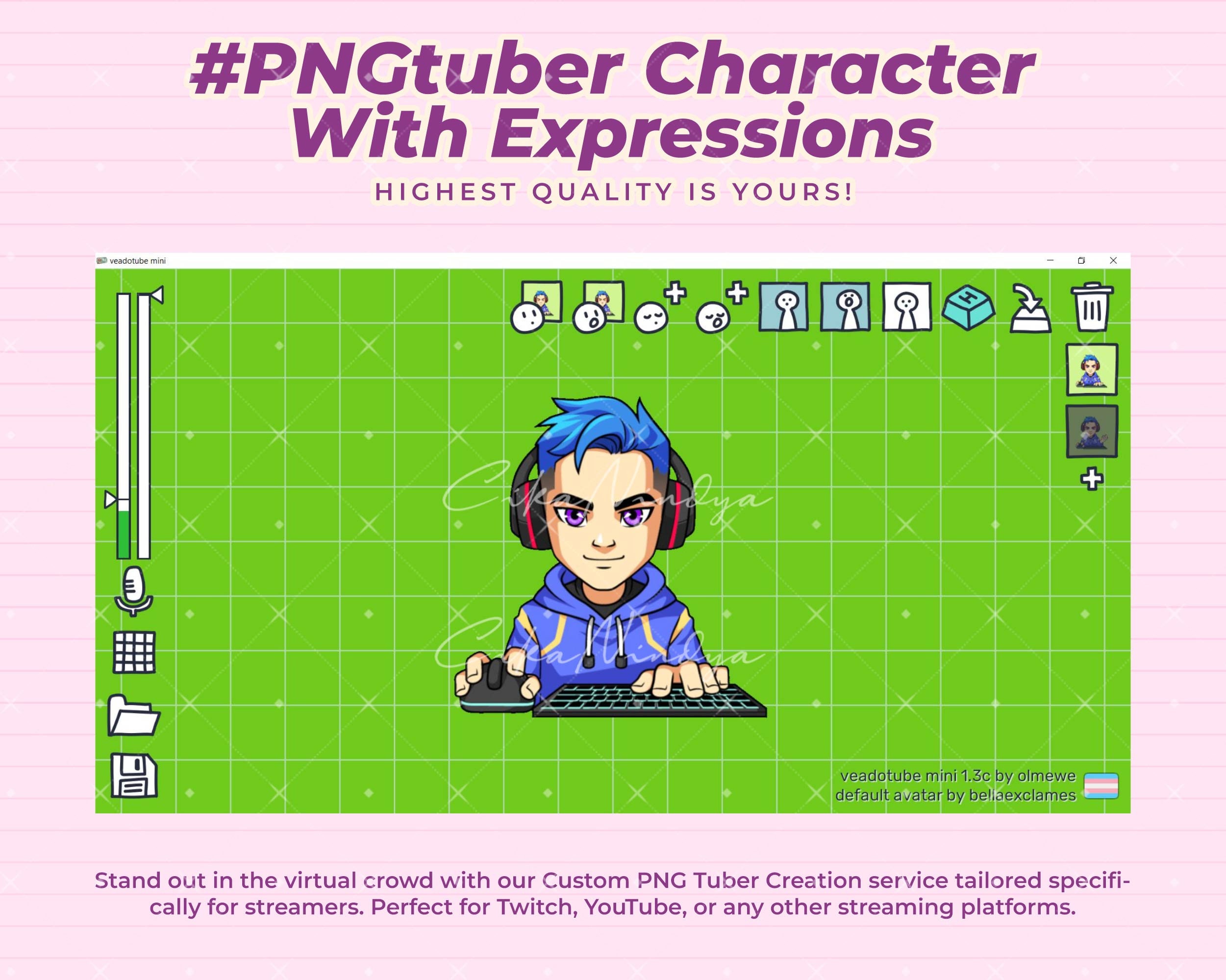 Pngtuber Pngtuber Avatar Pngtuber Premade Pngtuber - Etsy
