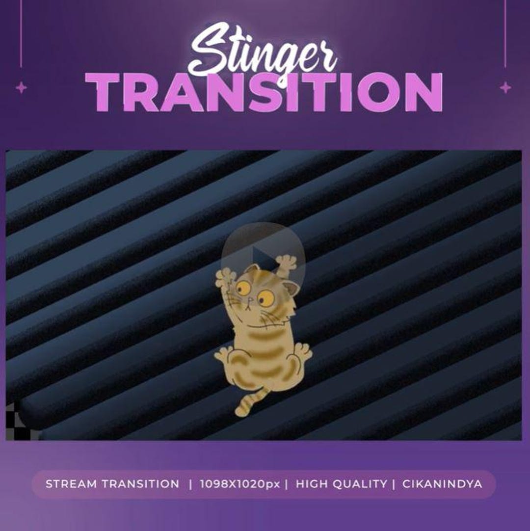 Chibi Cat Stinger Transition Adorable Animated Overlay for Streaming ...