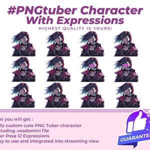 Pngtuber | Cyberpunk PNG Tuber for Stylish Streaming | Get 12 Streaming ...