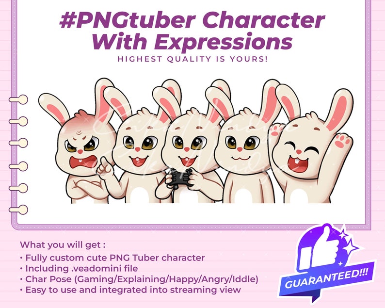 PNG Tuber Gif Pngtuber Pngtuber Girl Pngtuber Twitch - Etsy