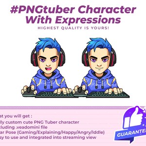 Pngtuber, Pngtuber Avatar, Pngtuber Premade, Pngtuber Commission ...