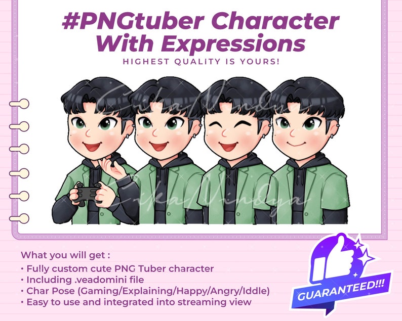 Get Noticed on Streams With Eye-catching PNG Tuber Pngtuber - Etsy