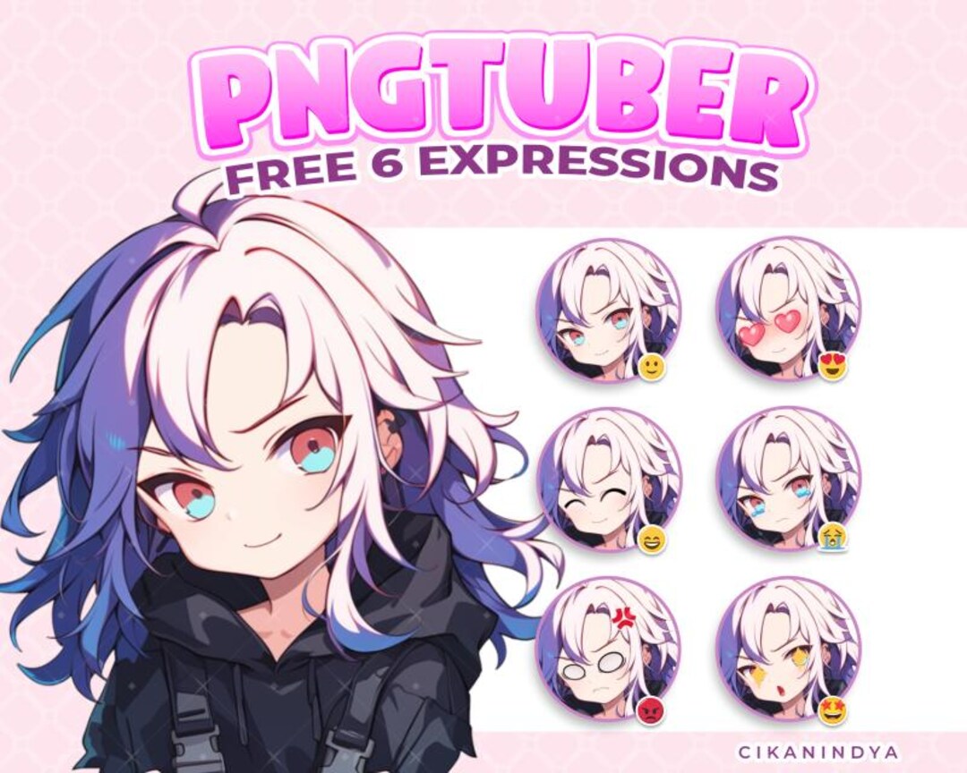 Premade Pngtuber – Edgy Chibi Female Avatar in Black Hoodie - Etsy
