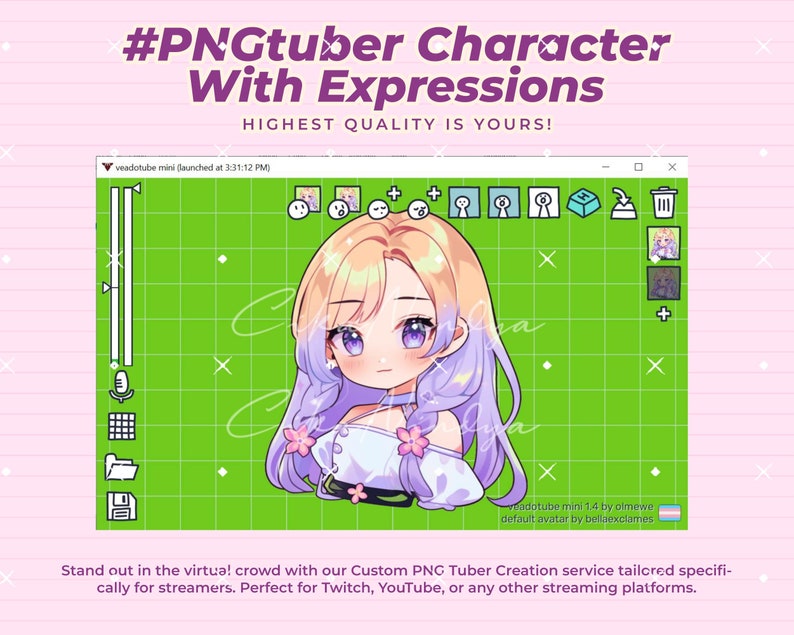 Personalized Chibi Pngtuber Avatar: 2 Poses, .veadomini File - Etsy