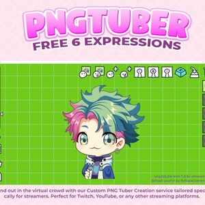 Custom Pngtuber – Vibrant and Colorful Chibi Character - Etsy