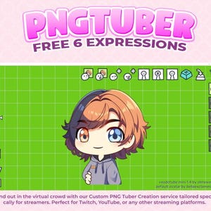 Chibi Pngtuber Male Model: Animated Premade Character - Etsy