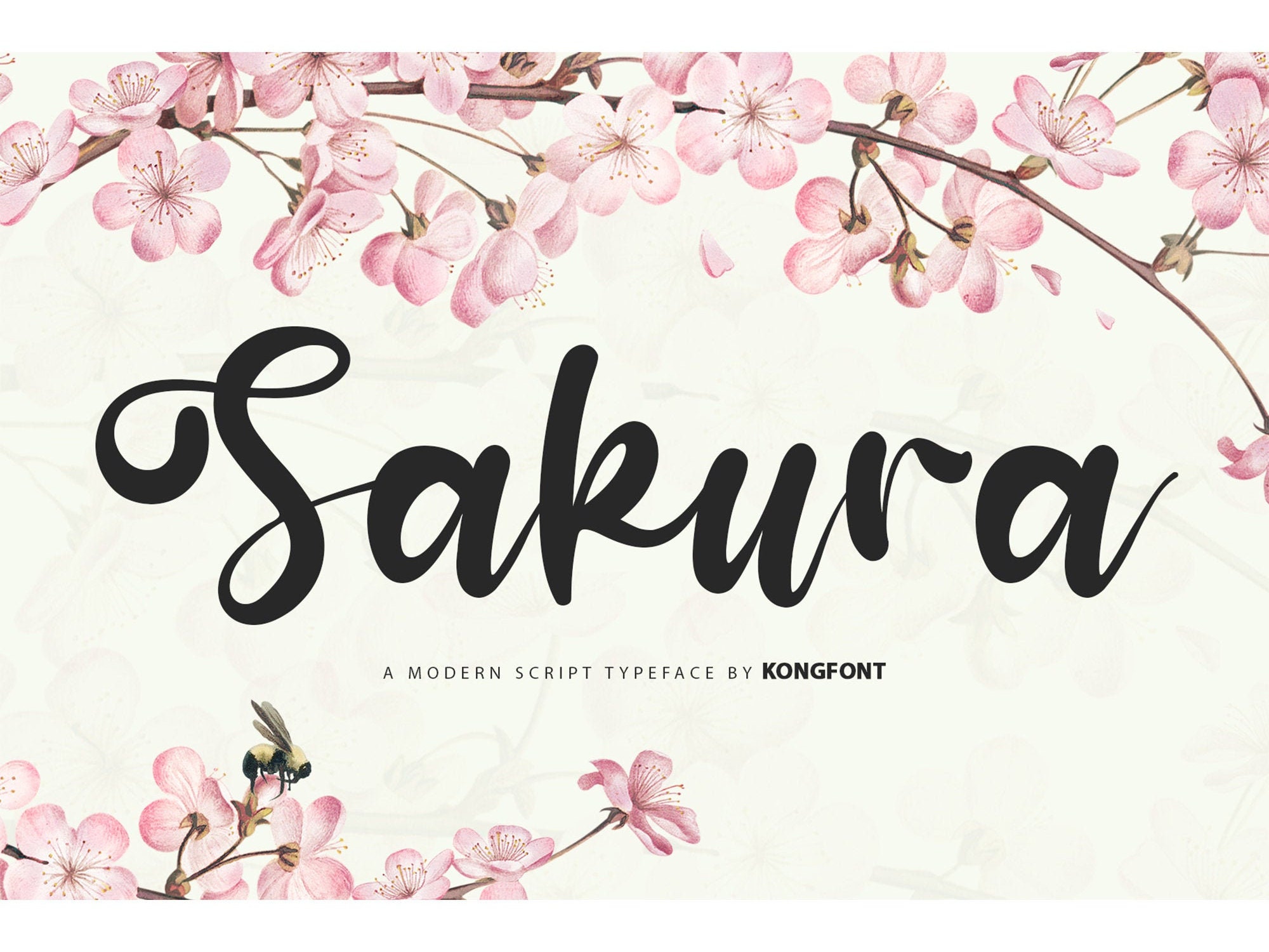 Sakura Modern Script Schrift Schriftzug Schriftart | Etsy