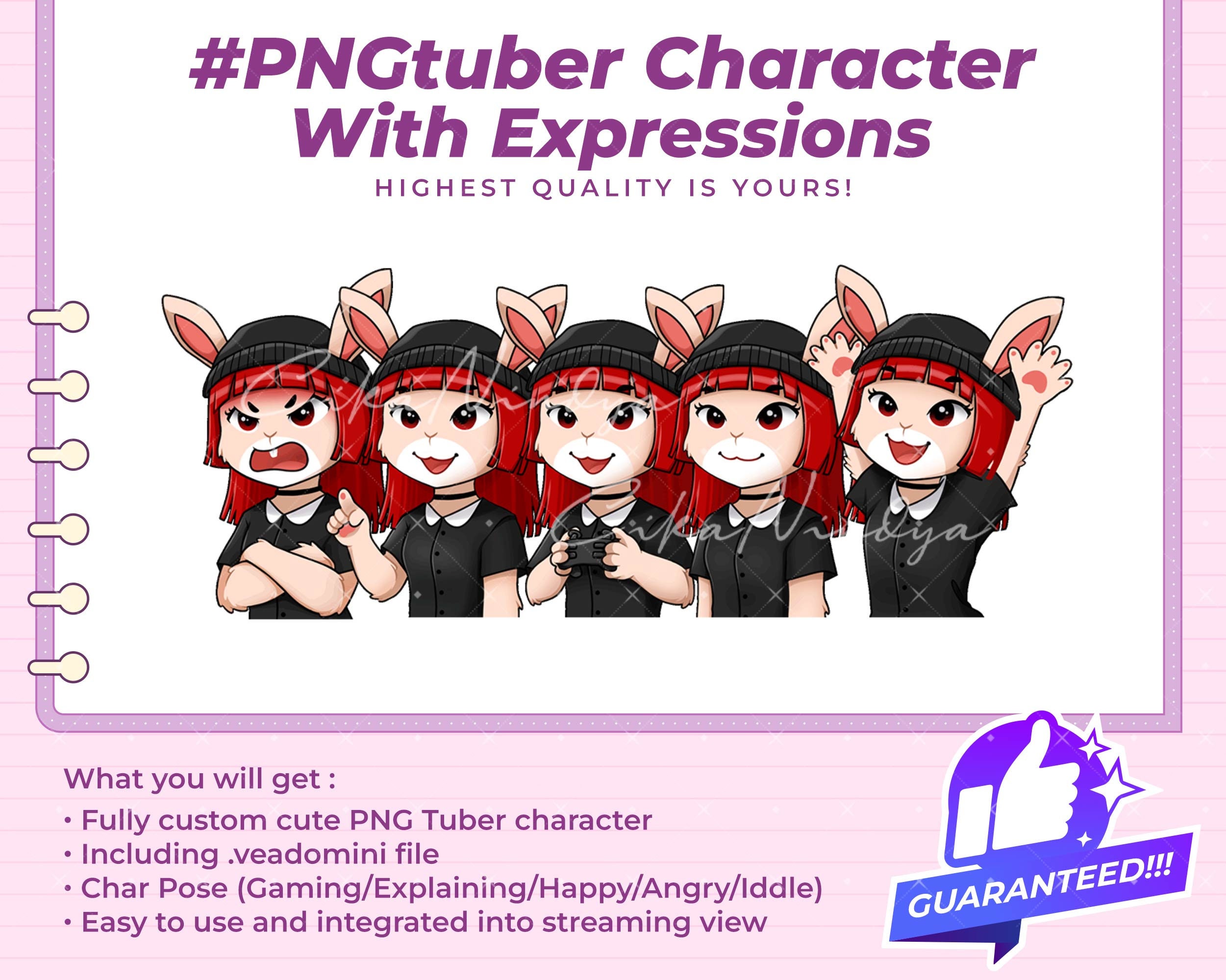 PNG Tuber Pngtuber Model Pngtuber Premade Pngtuber - Etsy