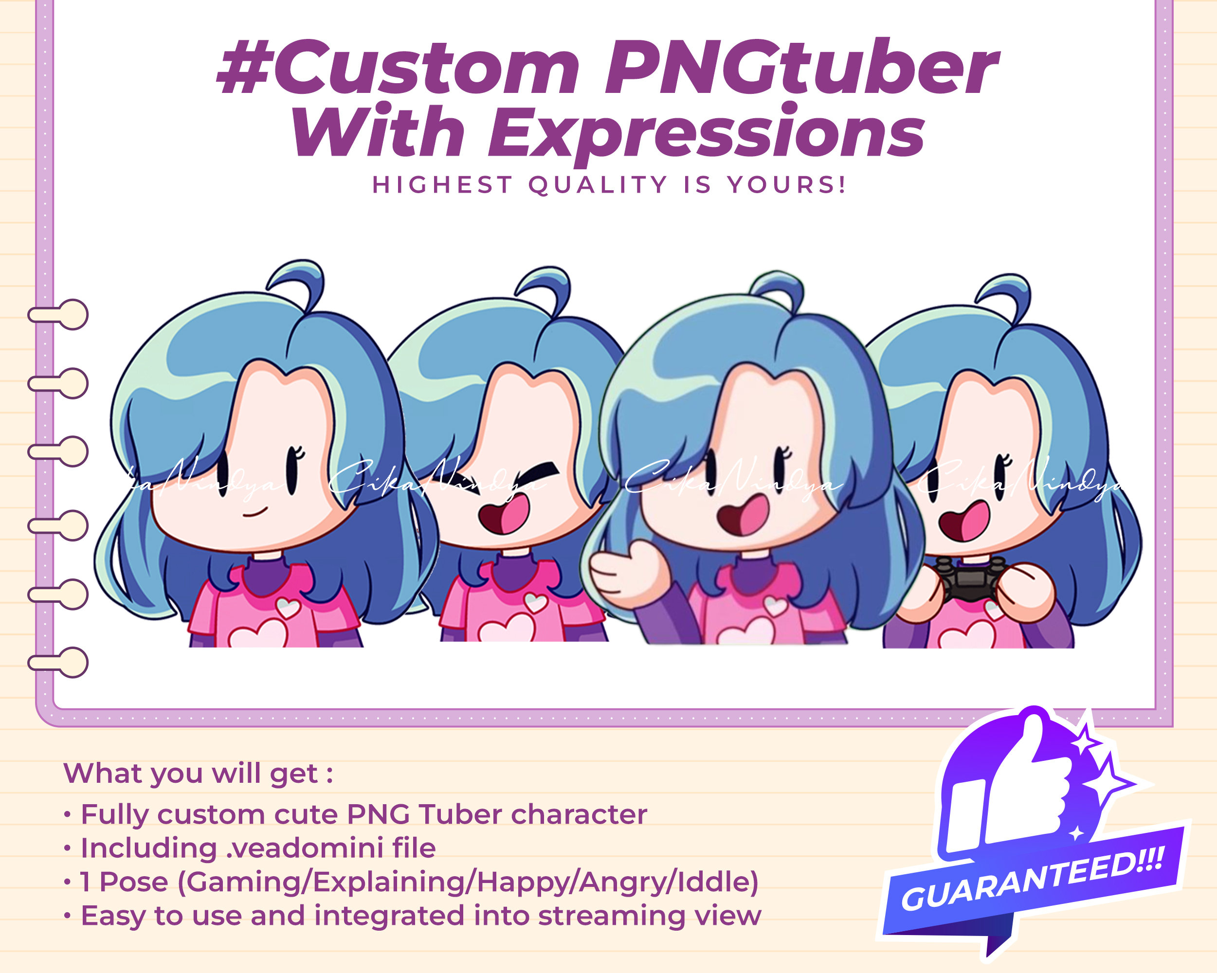 Custom PNG Tuber or GIF Tuber Creation for Vtuber Streamers - Etsy
