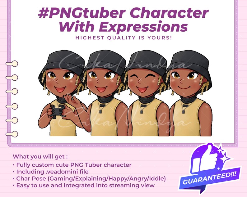 Premade Pngtuber Avatar: Twitch Streamer Model With Expressions - Etsy ...