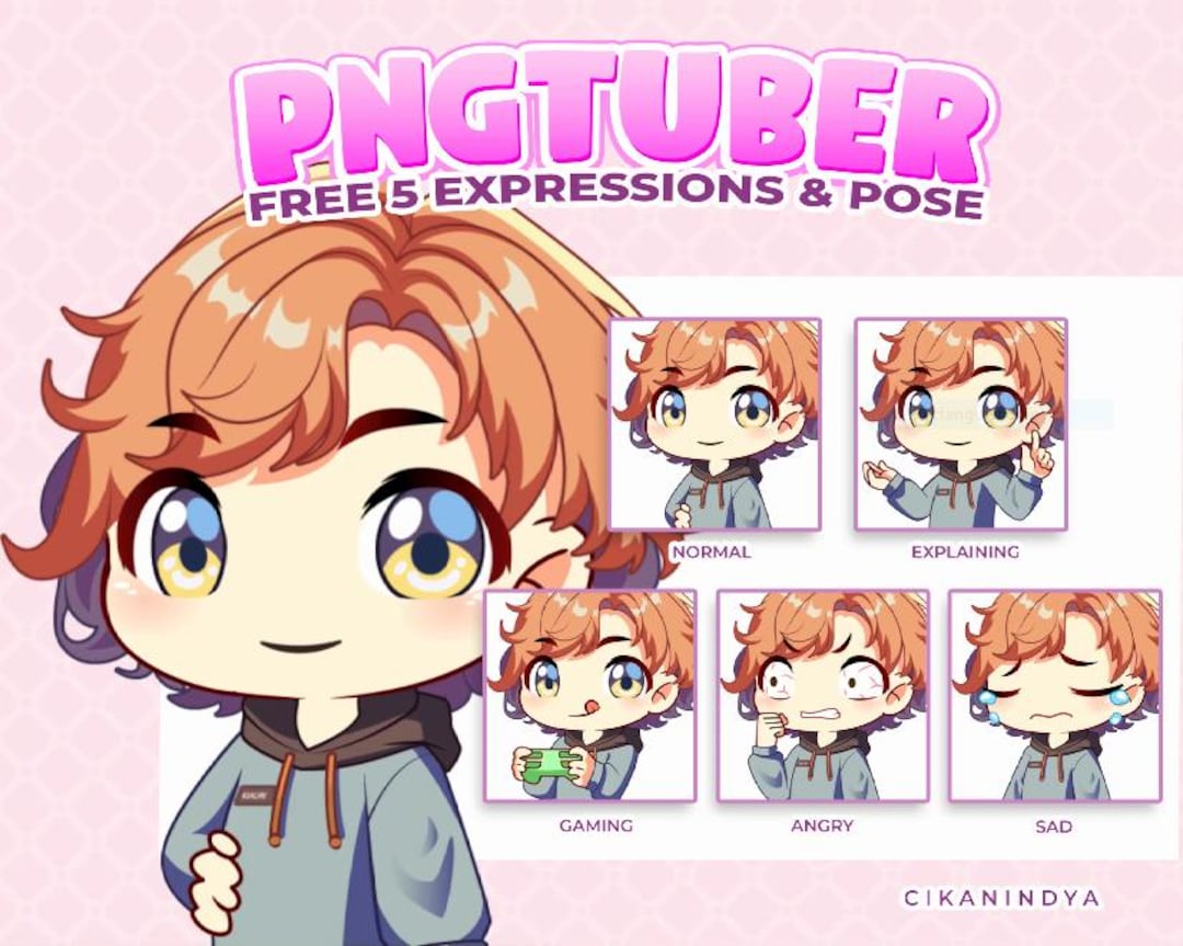 Colorful Premade Pngtuber – Chibi Boy With Smooth Animations - Etsy