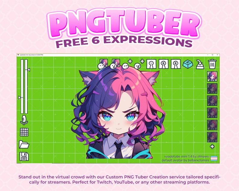 Pink & Blue Haired PNG Tuber Avatar: 6 Streamer Poses - Etsy Canada