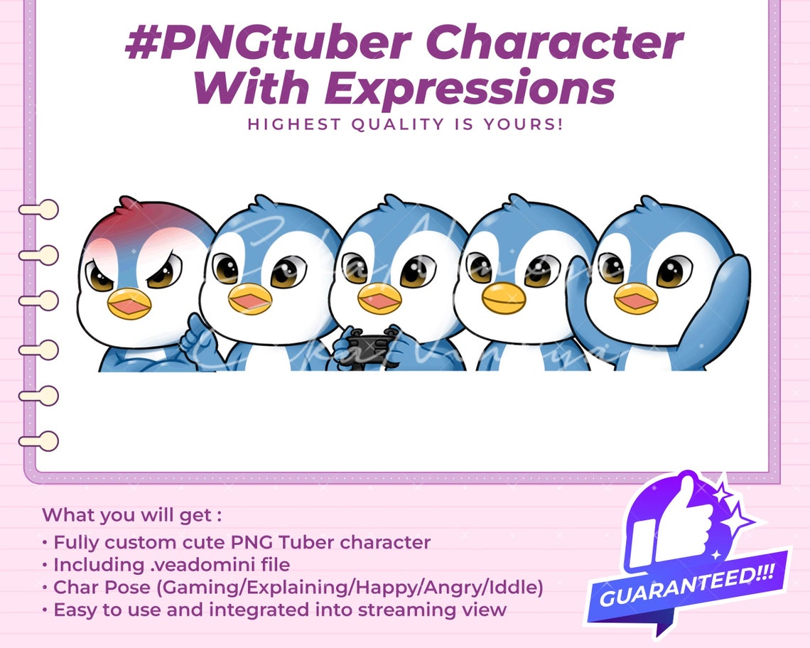 PNG Tuber Png Tuber Avatar Pngtuber Model Pngtuber Premade - Etsy