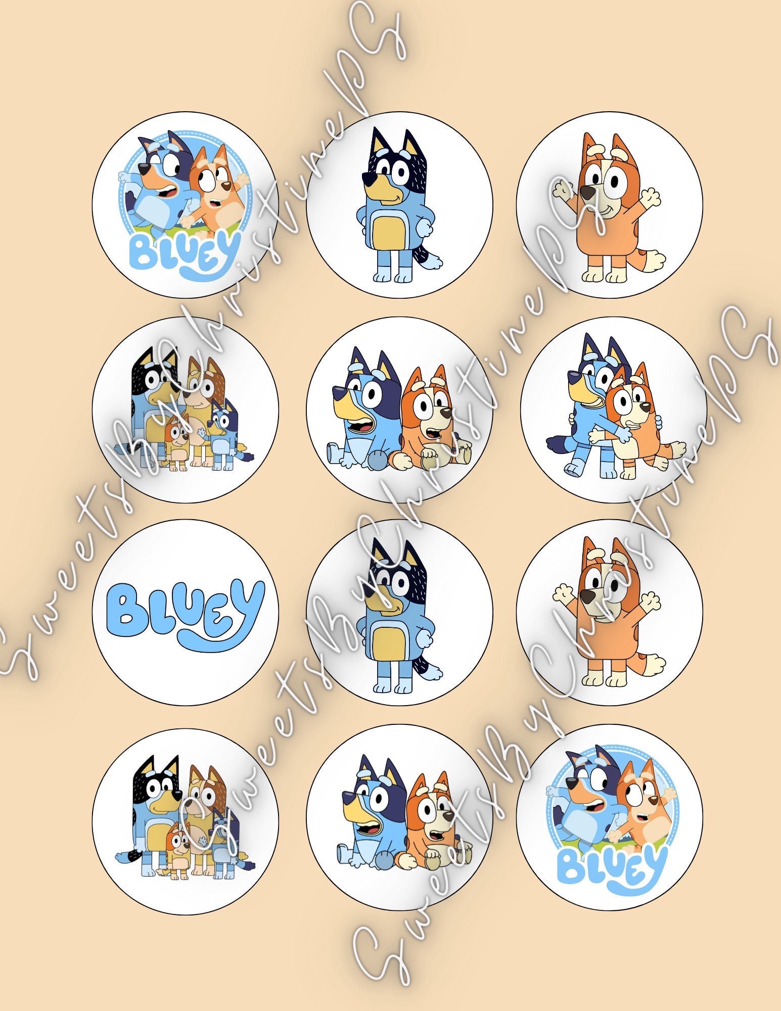 Bluey Edible Icons – Build a Birthday NZ - patagonland.cl