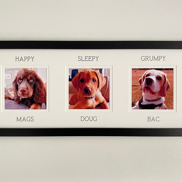 Pet Photo Collage - Etsy UK