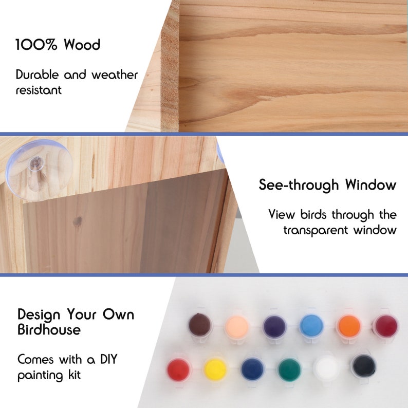 Window Bird House With Paint Kit, Window Birdhouse, Spy Birdhouse, See ...
