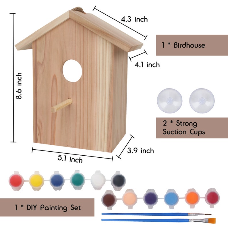 Window Bird House With Paint Kit, Window Birdhouse, Spy Birdhouse, See ...