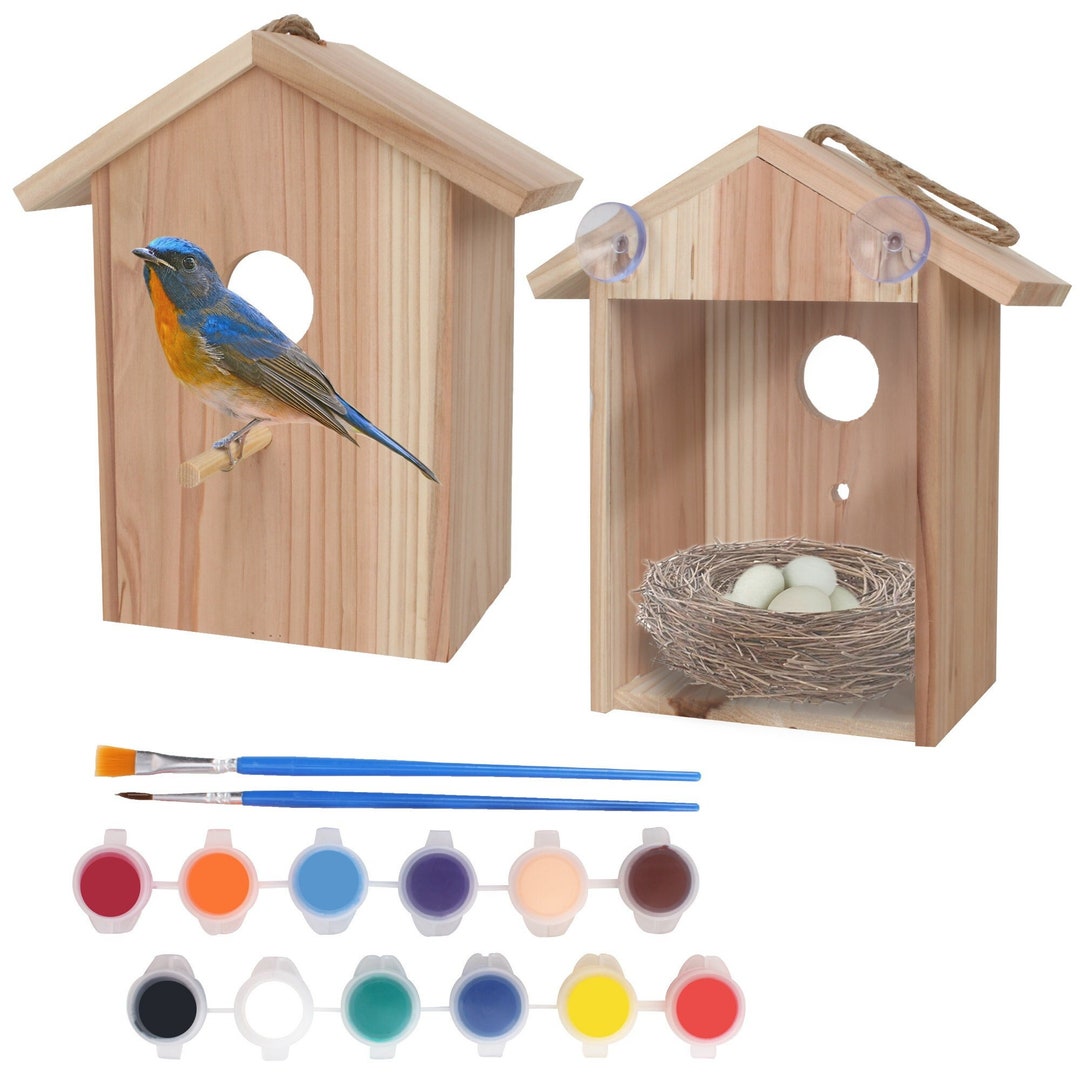Window Bird House With Paint Kit, Window Birdhouse, Spy Birdhouse, See ...