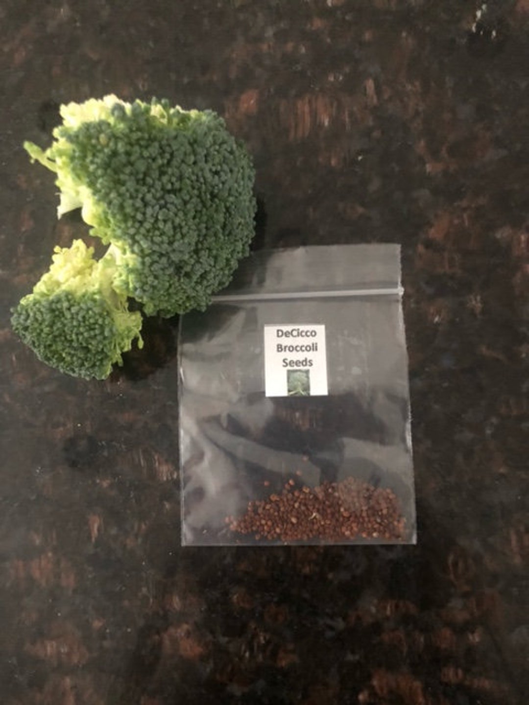 200 Decicco Broccoli Seeds - Etsy