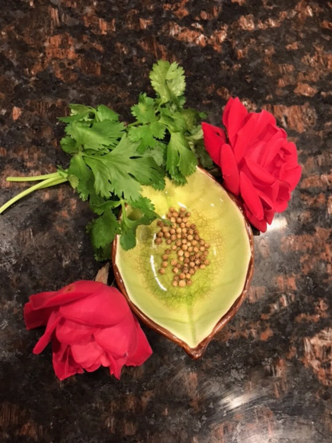 70 Slow Bolt Cilantro Seeds - Etsy