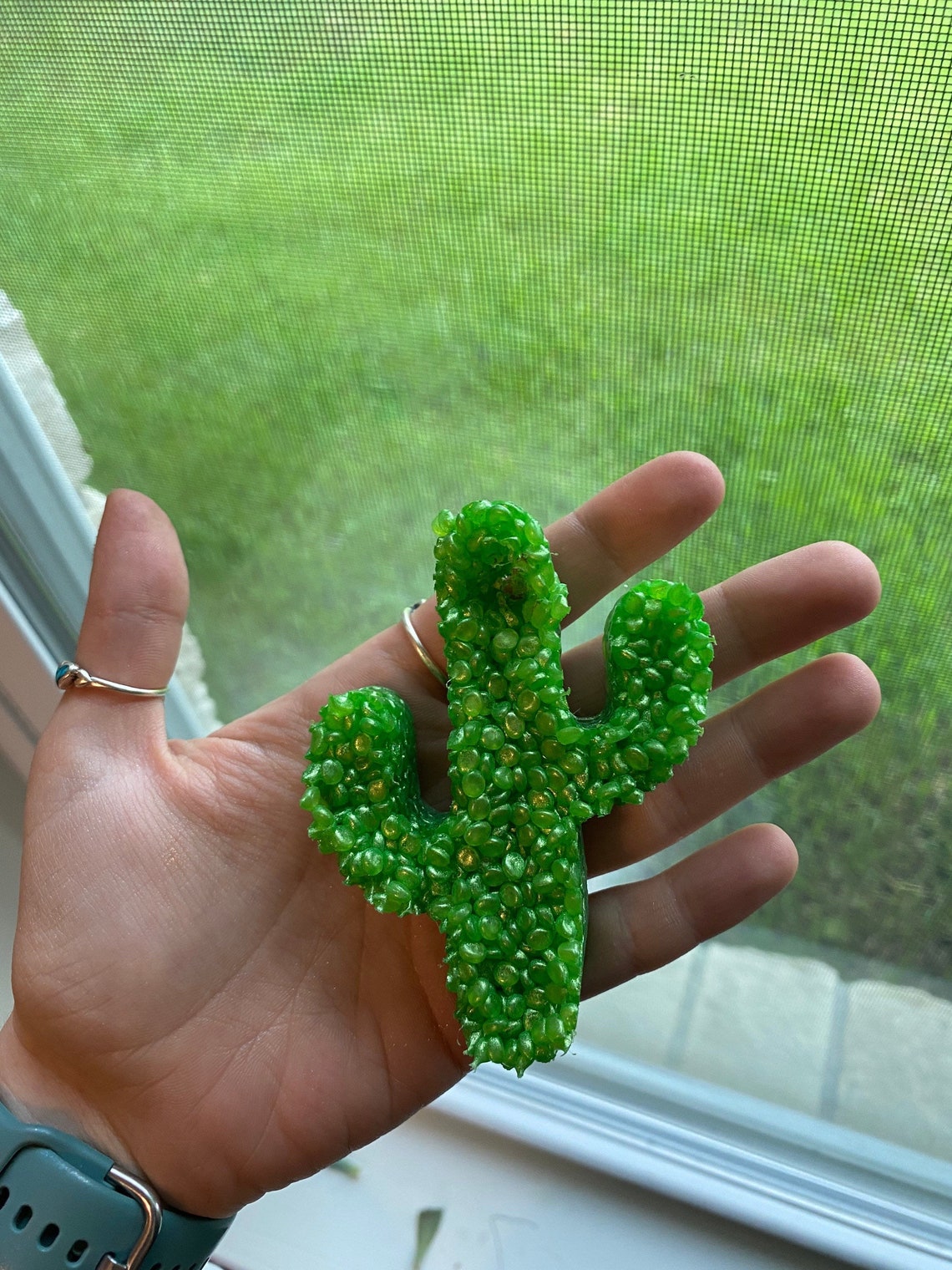 Cactus car freshie | Etsy