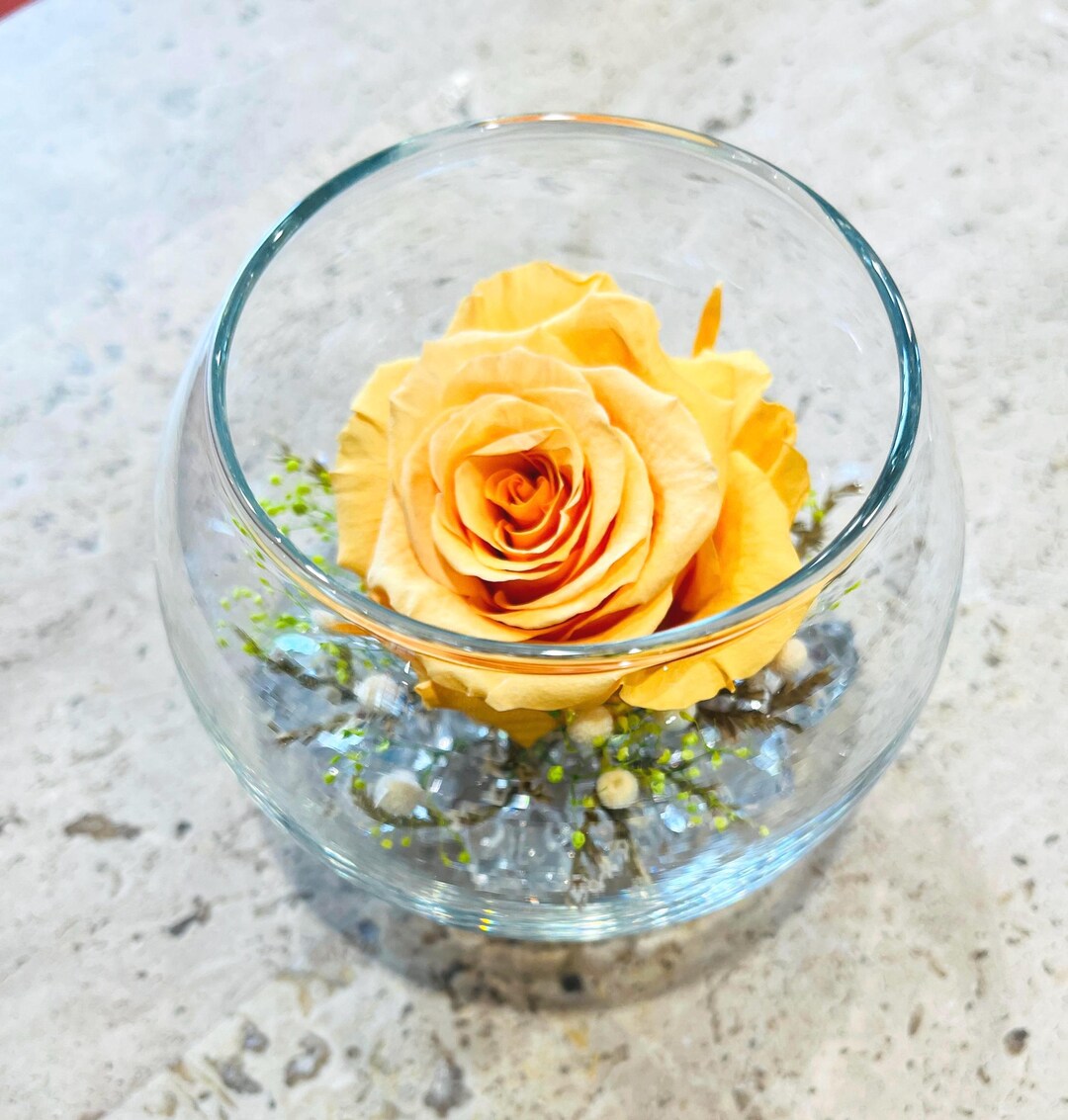 SINGLE FOREVER PRESERVED Yellow Rose, Eternal Rose Glass Bowl, Keepsake ...