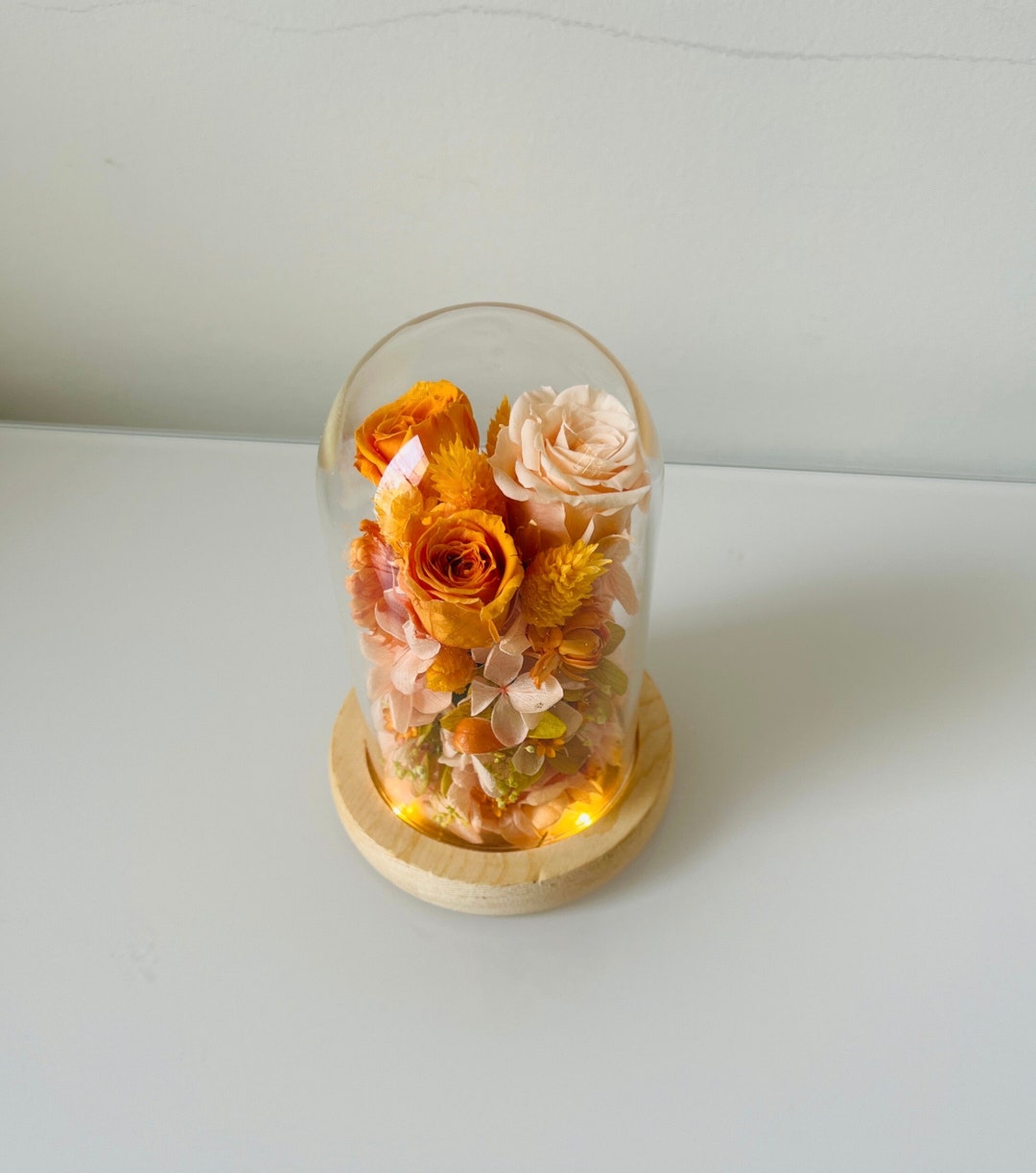 Peach PRESERVED ROSES With Hydrangea in a Glass Dome. Real Roses Last 3 ...