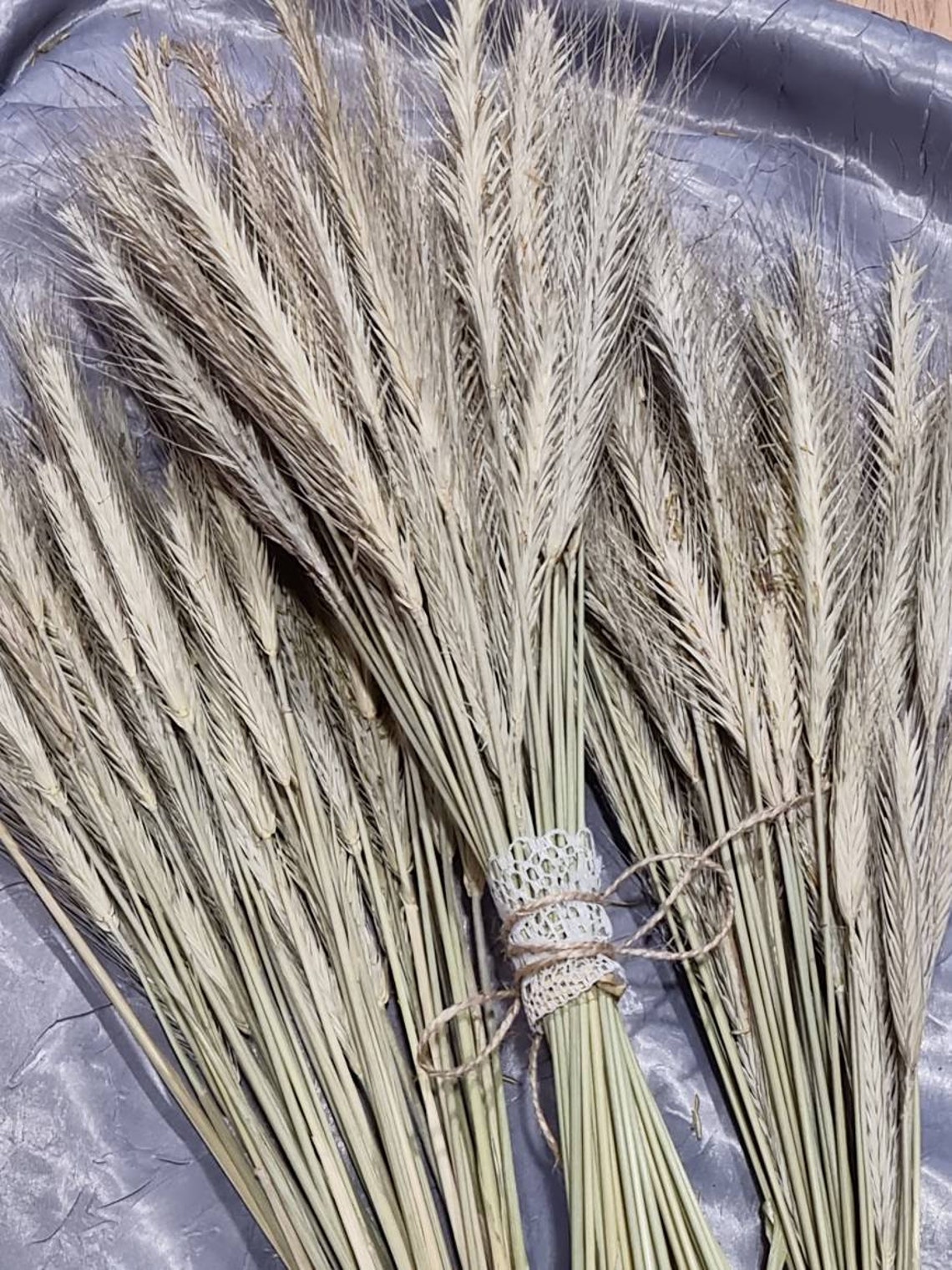 Dried rye bouquet natural wheat Cereals Dried flowers dried | Etsy