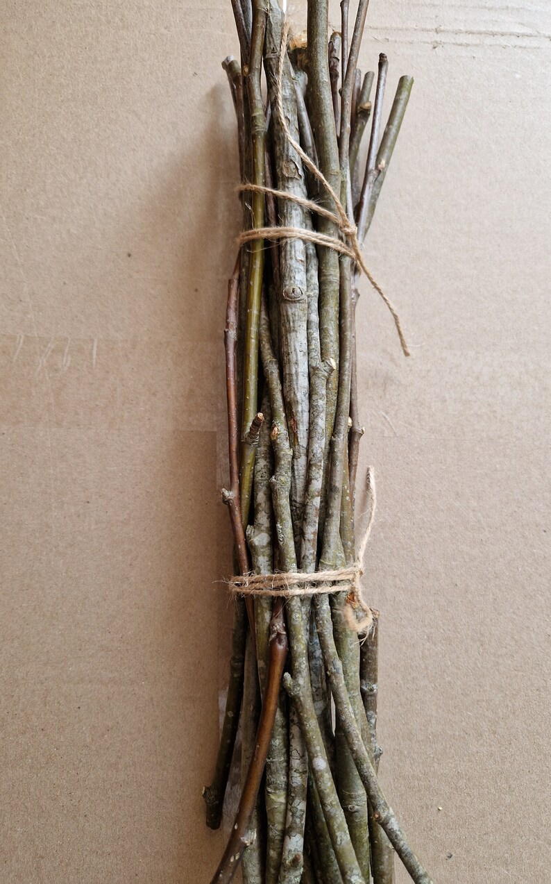 Dry Rowan Tree Wands Rowan Twigs Sticks Rowan Branches Mountain Ash ...