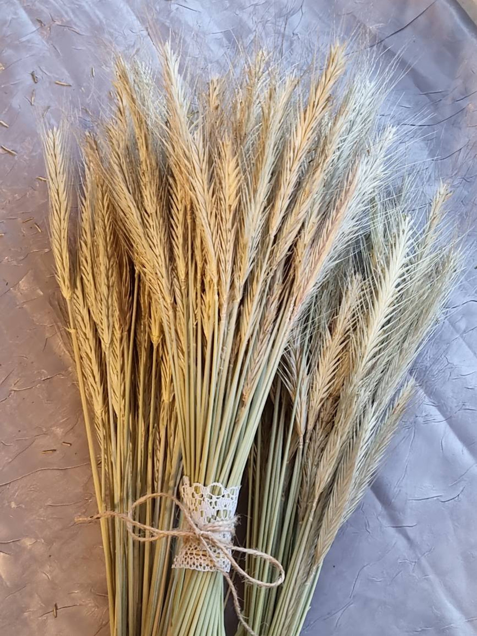 Dried Rye Bouquet Natural Wheat Cereals Dried Flowers Dried - Etsy