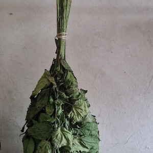 Natural Nettles Broom Real Dry Nettles Bunch From Forest Natural ...