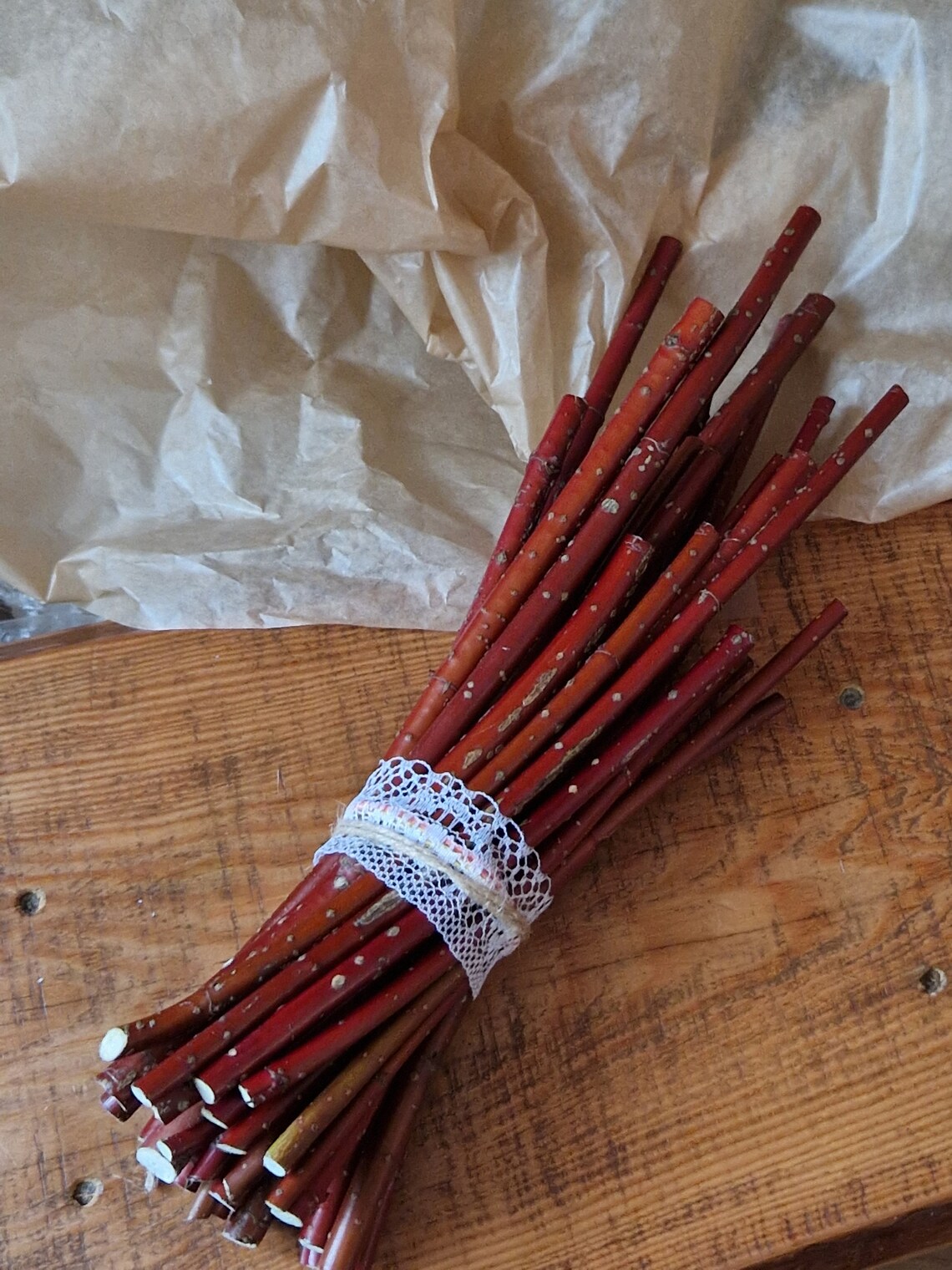 30 Natural Red Dogwood Branches Sticks Arts Crafts Supplies Photo Prof ...