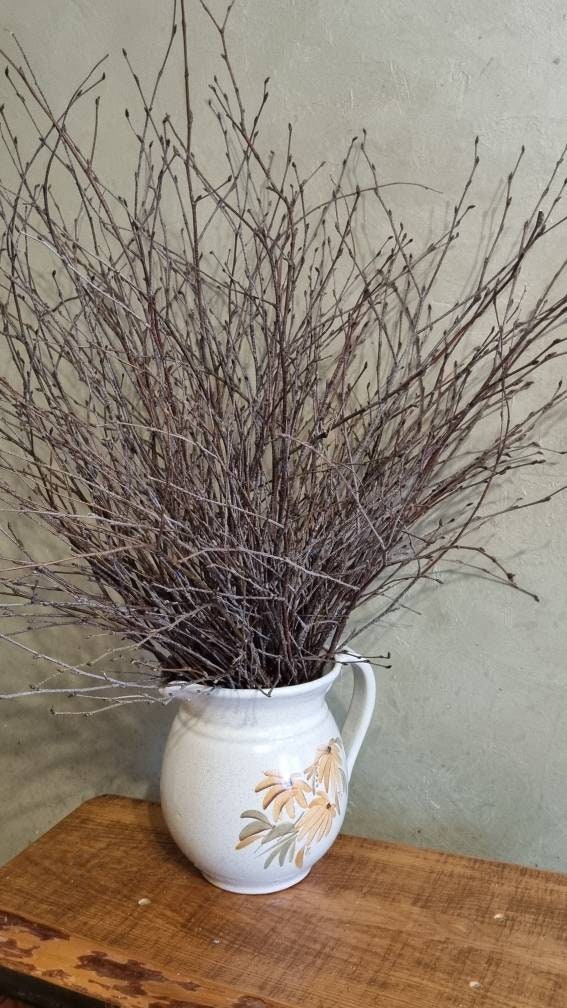 22-25"tall Natural Birch Branches Bunch Birch Twigs Branches for Rustic ...