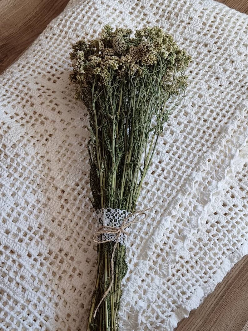 Natural Yarrow Herb Dried Flower Bouquet White Yarrow Achillea ...