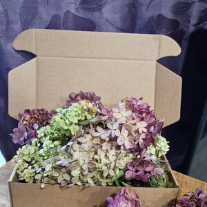 Hydrangeas Flowers Confetti in Box Dried Multicolored Flowers Wedding ...