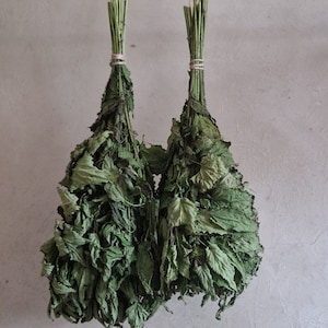 Natural Nettles Broom Real Dry Nettles Bunch From Forest Natural ...