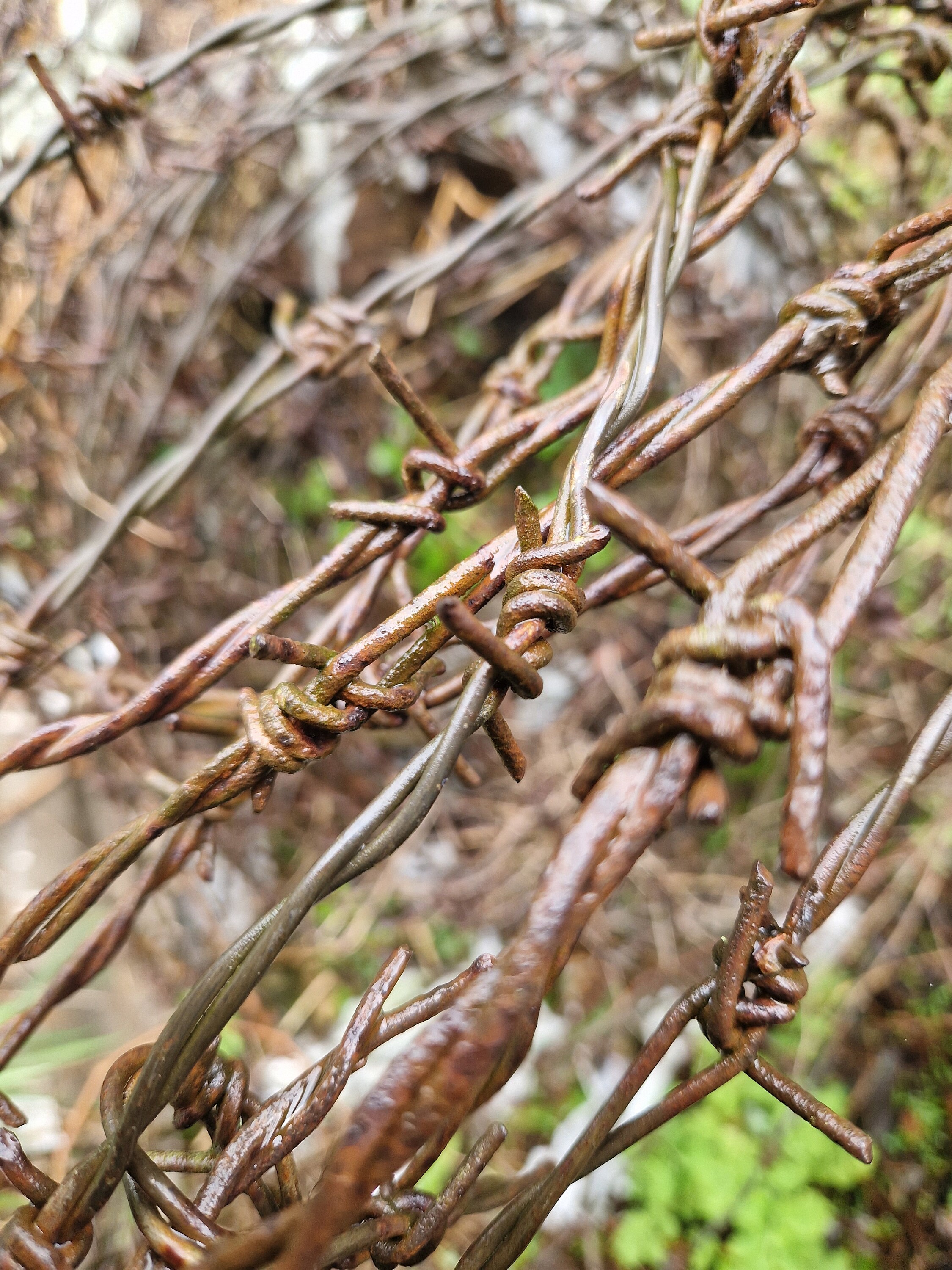 2.5 Meter Vintage Rusty Barbed Wire Old Rusty Wire - Etsy