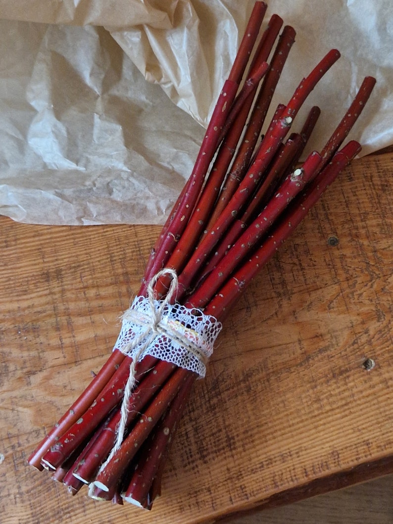 30 Natural Red Dogwood Branches Sticks Arts Crafts Supplies Photo Prof ...