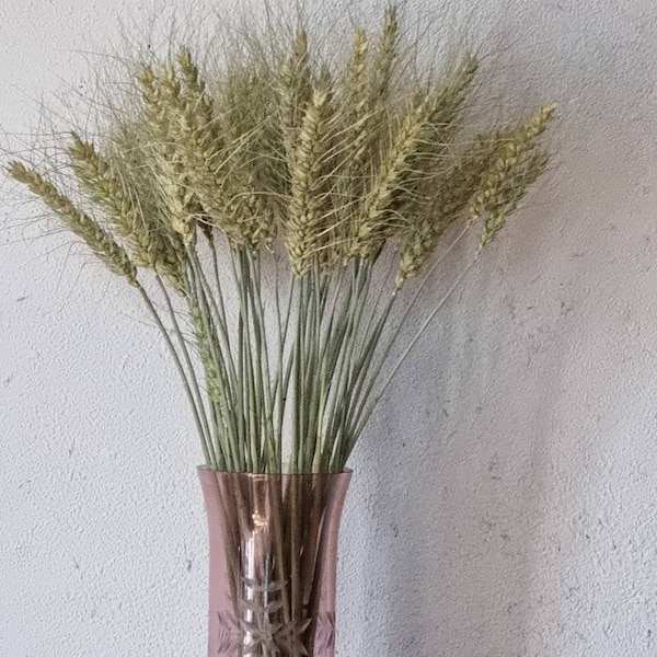 Wheat Bouquet - Etsy UK