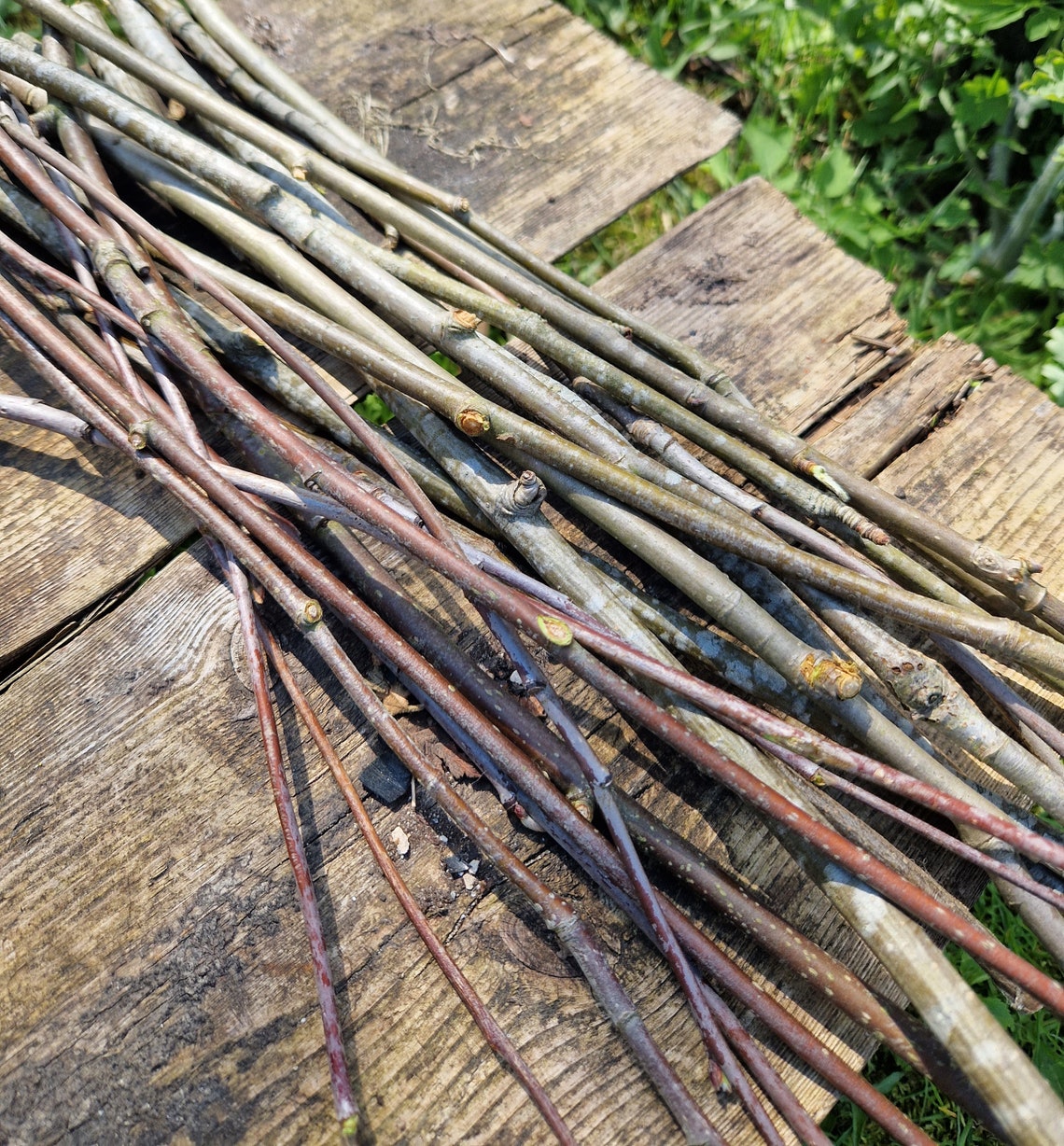 Dry Rowan Tree Wands Rowan Twigs Sticks Rowan Branches Mountain Ash ...