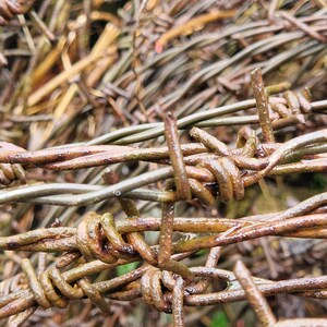 2.5 Meter Vintage Rusty Barbed Wire Old Rusty Wire - Etsy