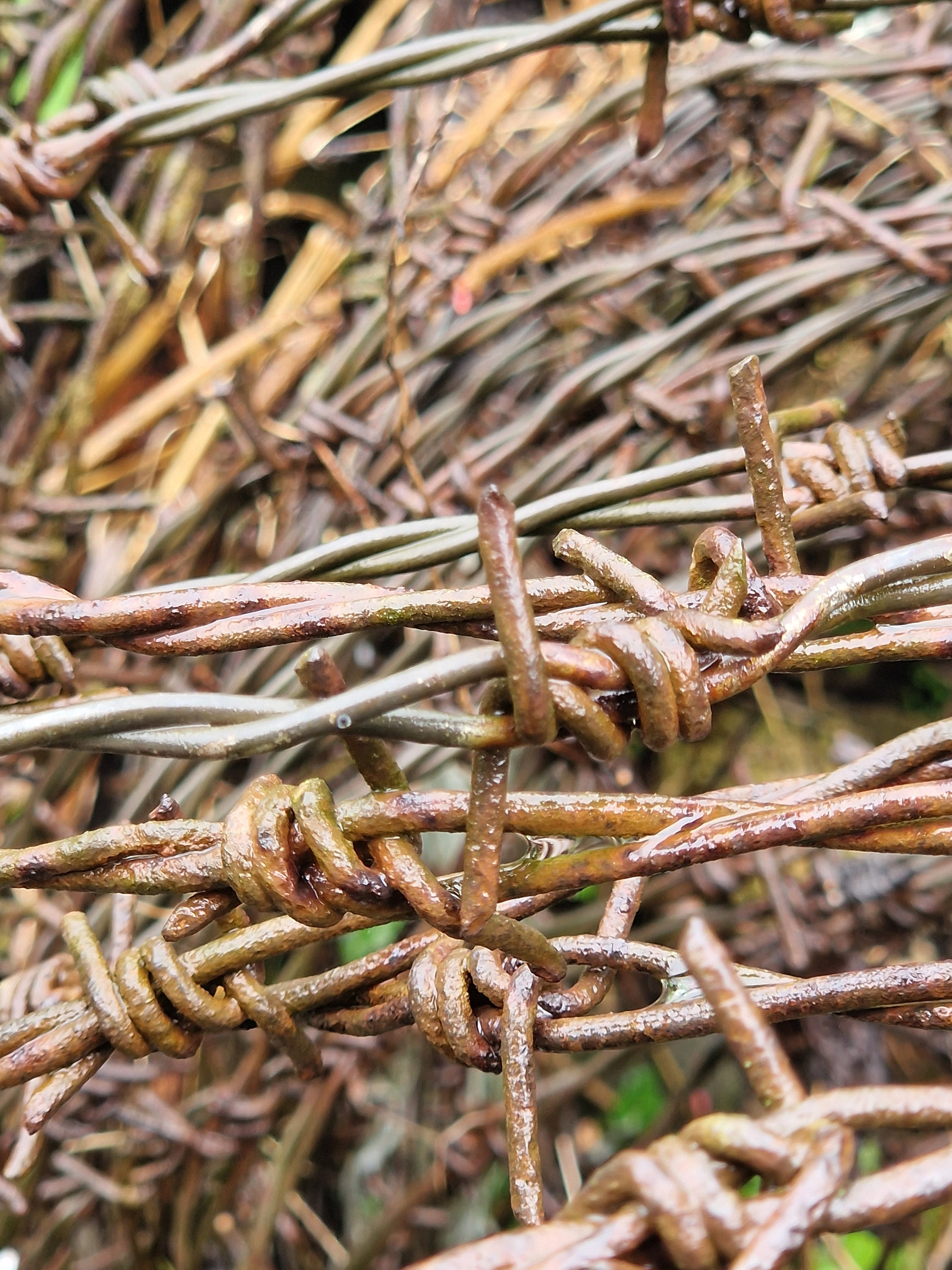 2.5 Meter Vintage Rusty Barbed Wire Old Rusty Wire - Etsy