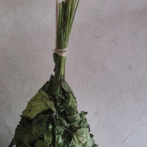 Natural Nettles Broom Real Dry Nettles Bunch From Forest Natural ...