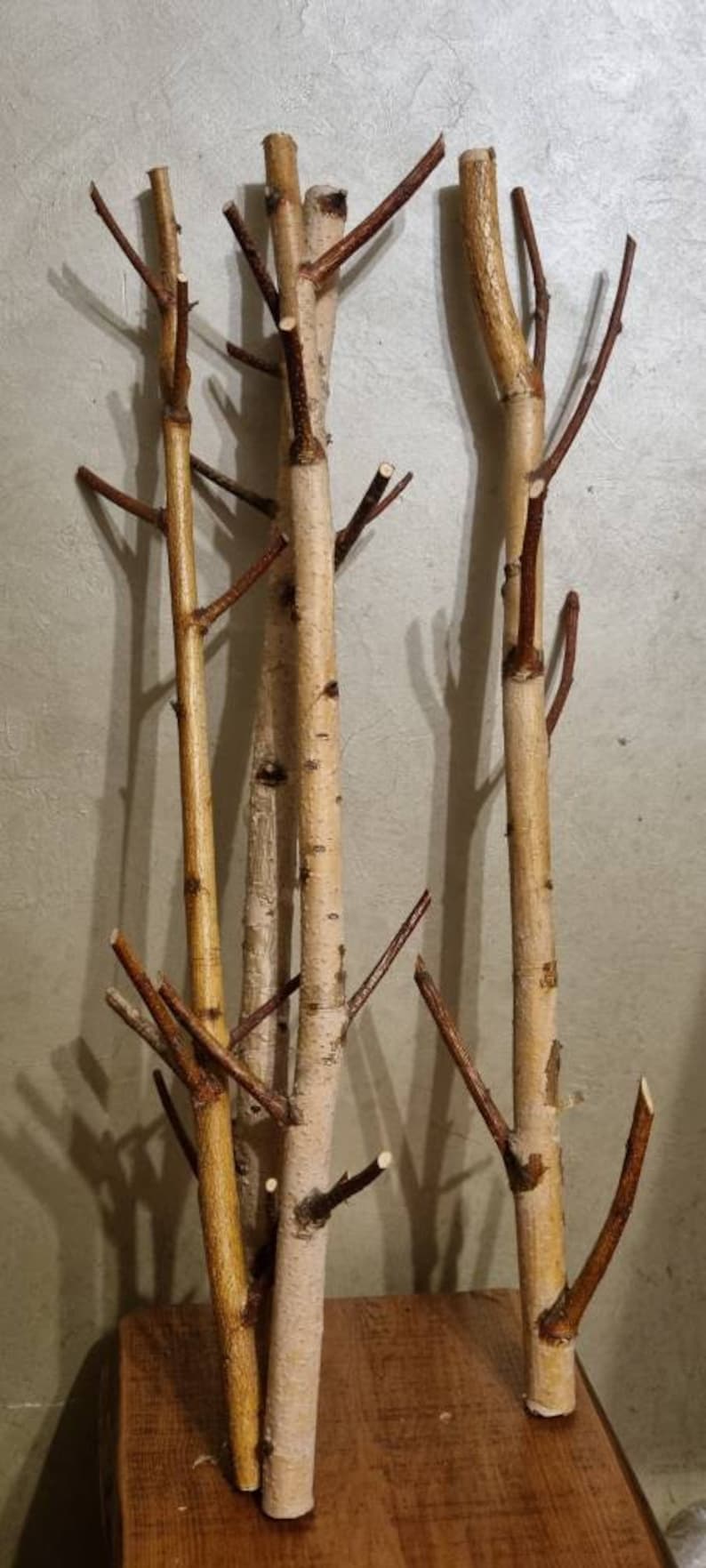 Vero bianco betulla gancio foresta parete arte appendiabiti ramo di ...